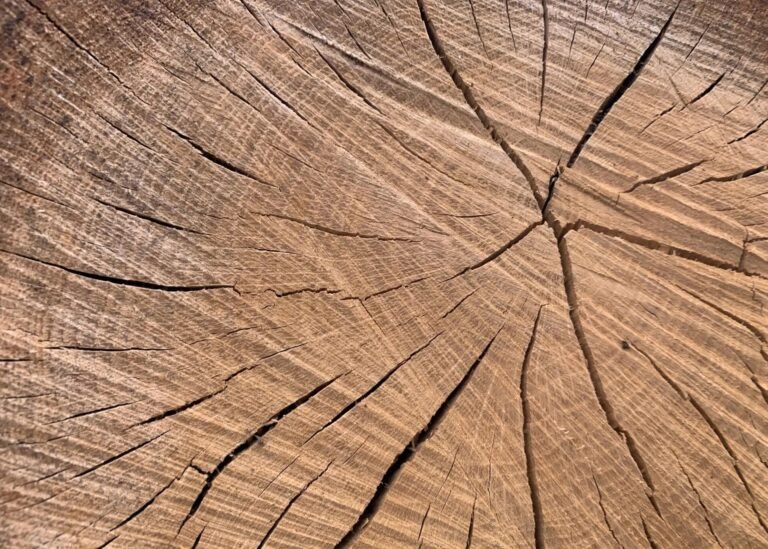 Madera de Encino - Bodega de Muebles | Mueblería Online